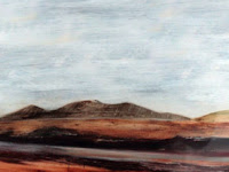 Artist Uncovered: Alison Auldjo - Art in Healthcare