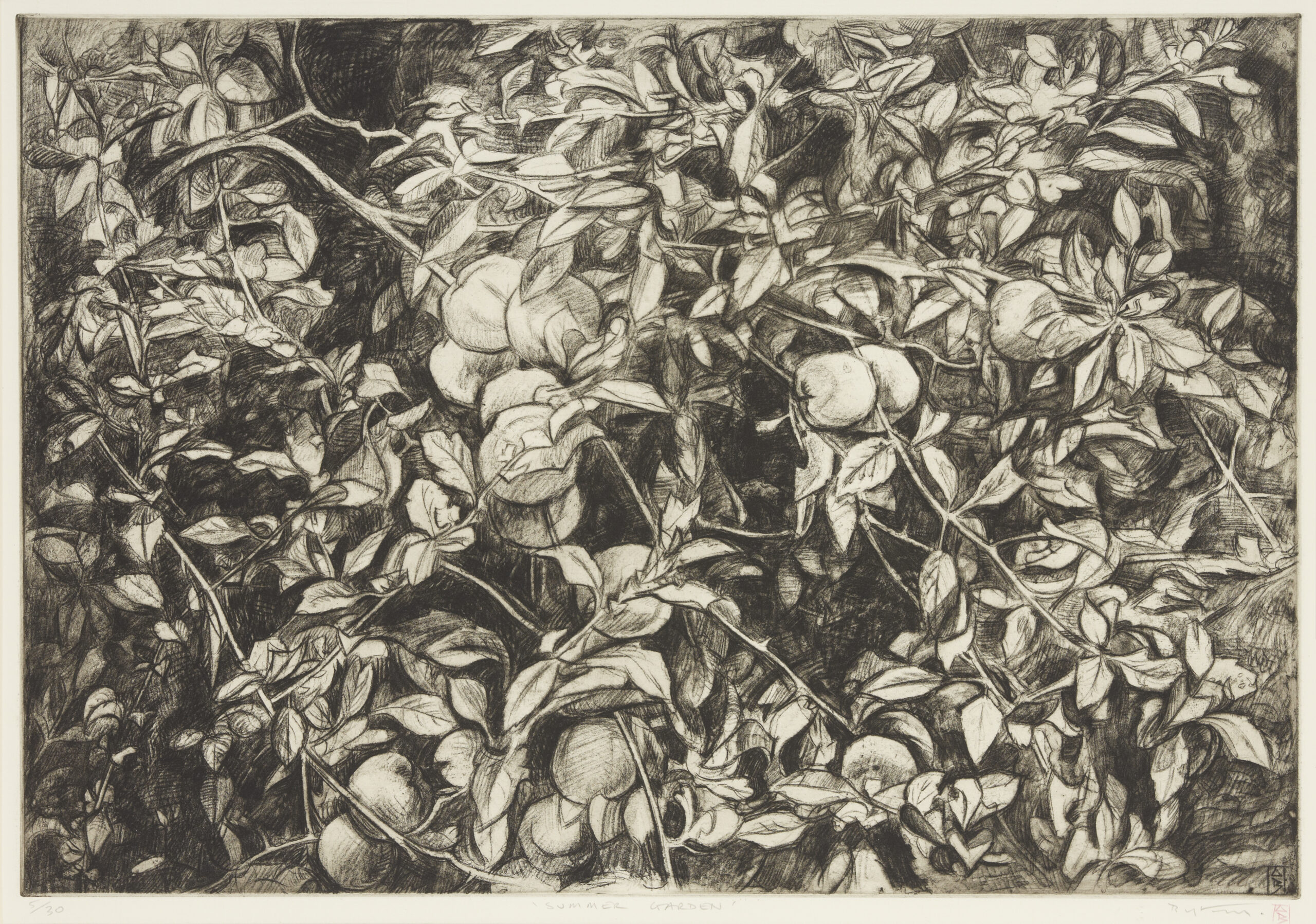 Unfurling | Curated by Hannah Draper - Art in Healthcare